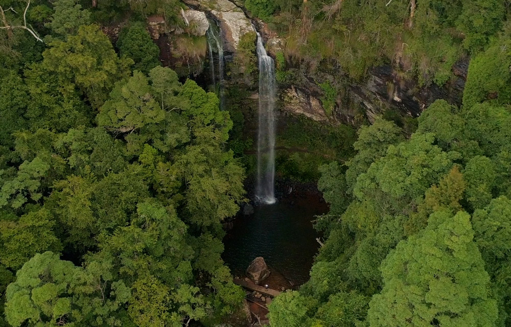 Defending Springbrook from water mining