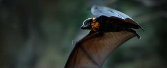 What is ecologically sustainable development (ESD)? - Environmental ...