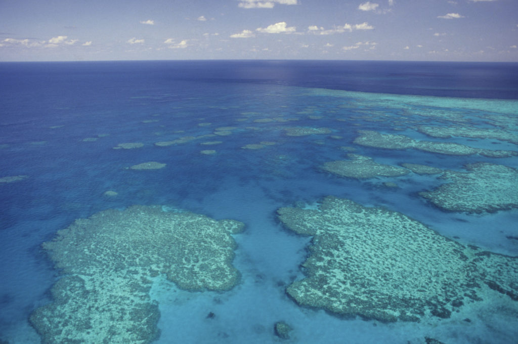 Cooloola Great Walk Ecotourism Project Factsheet - Environmental ...