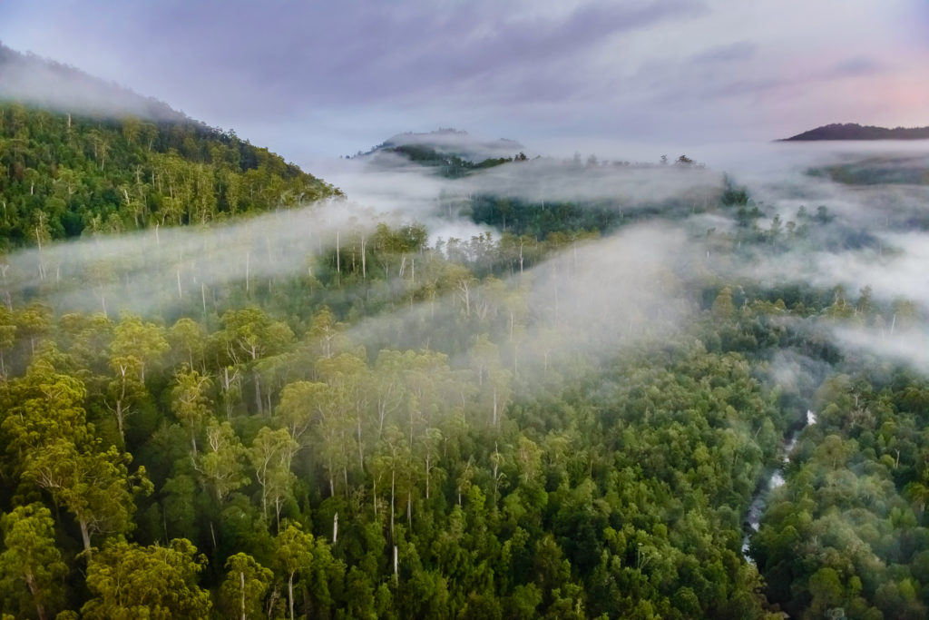 Australia’s Climate Change Policy Review - Environmental Defenders Office