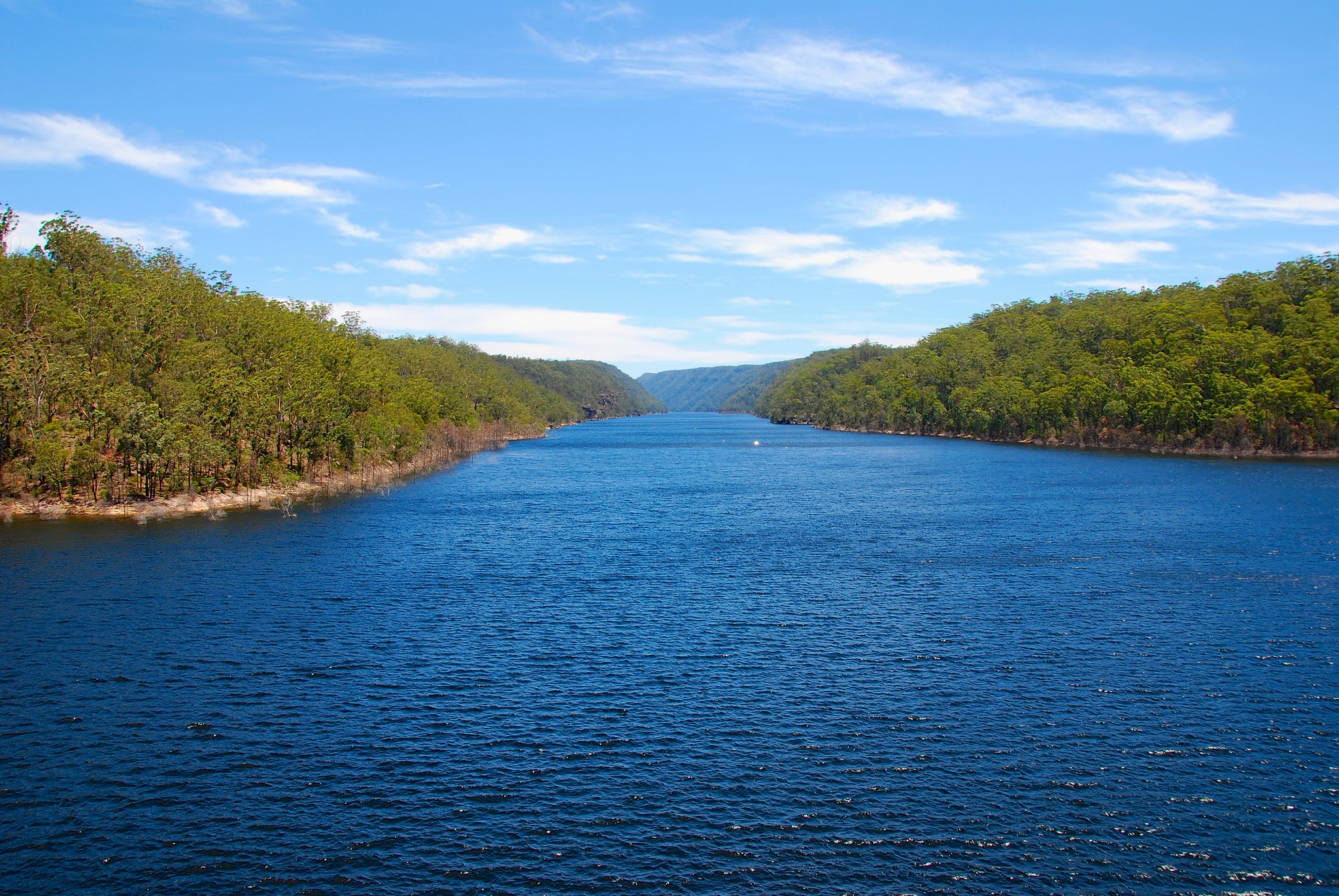 Springvale Coal Mine Case - Environmental Defenders Office