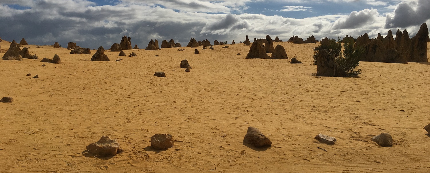 Submission on Issues paper: Climate change in Western Australia ...