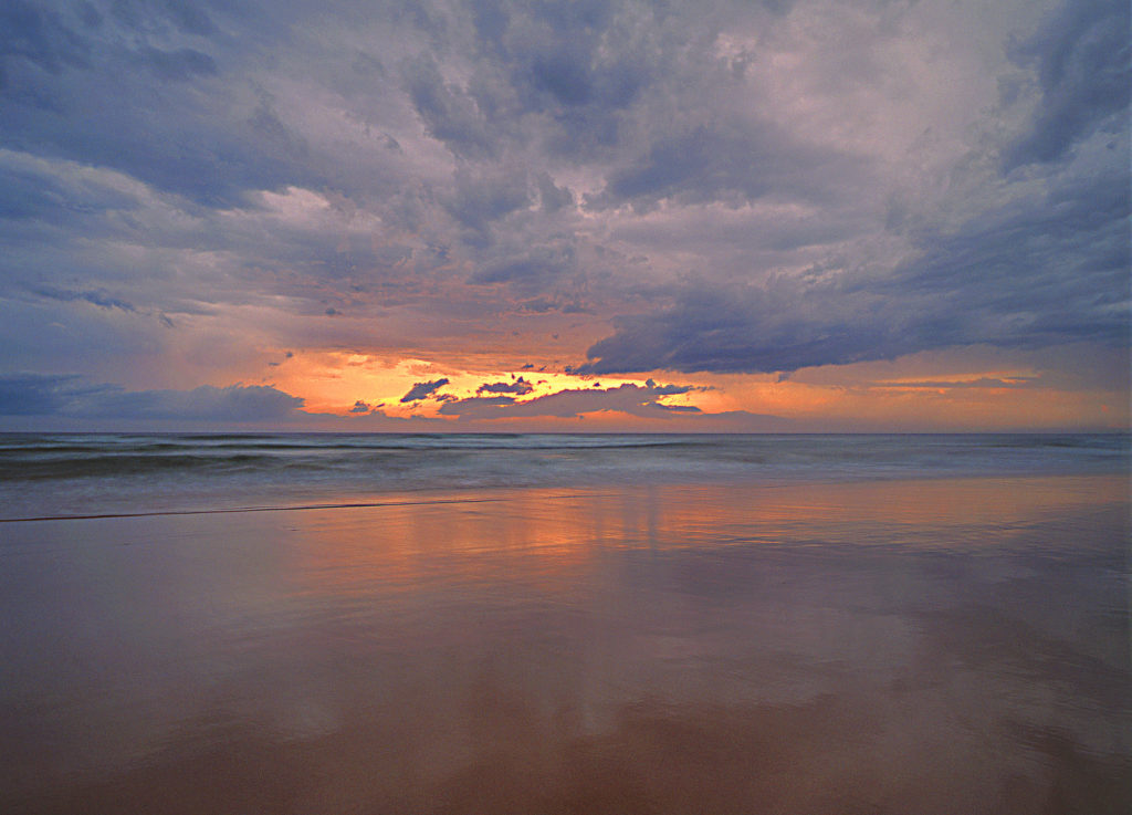 Legal analysis: The right to a healthy environment in Australia ...