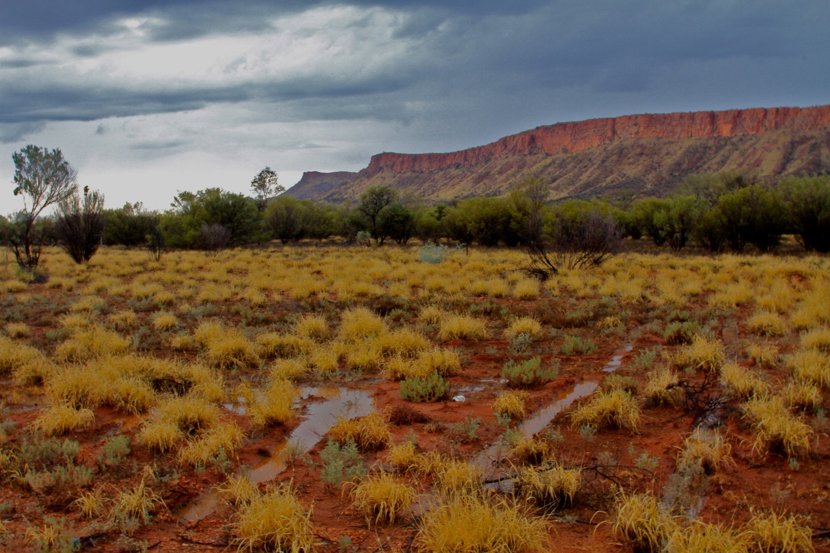A Biodiversity Conservation and Land Management Act for the Northern ...