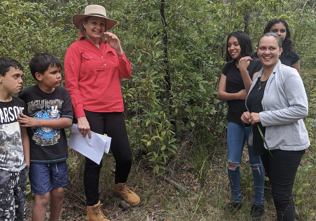 Housing development threat to Butterfly Cave Aboriginal Women’s site ...
