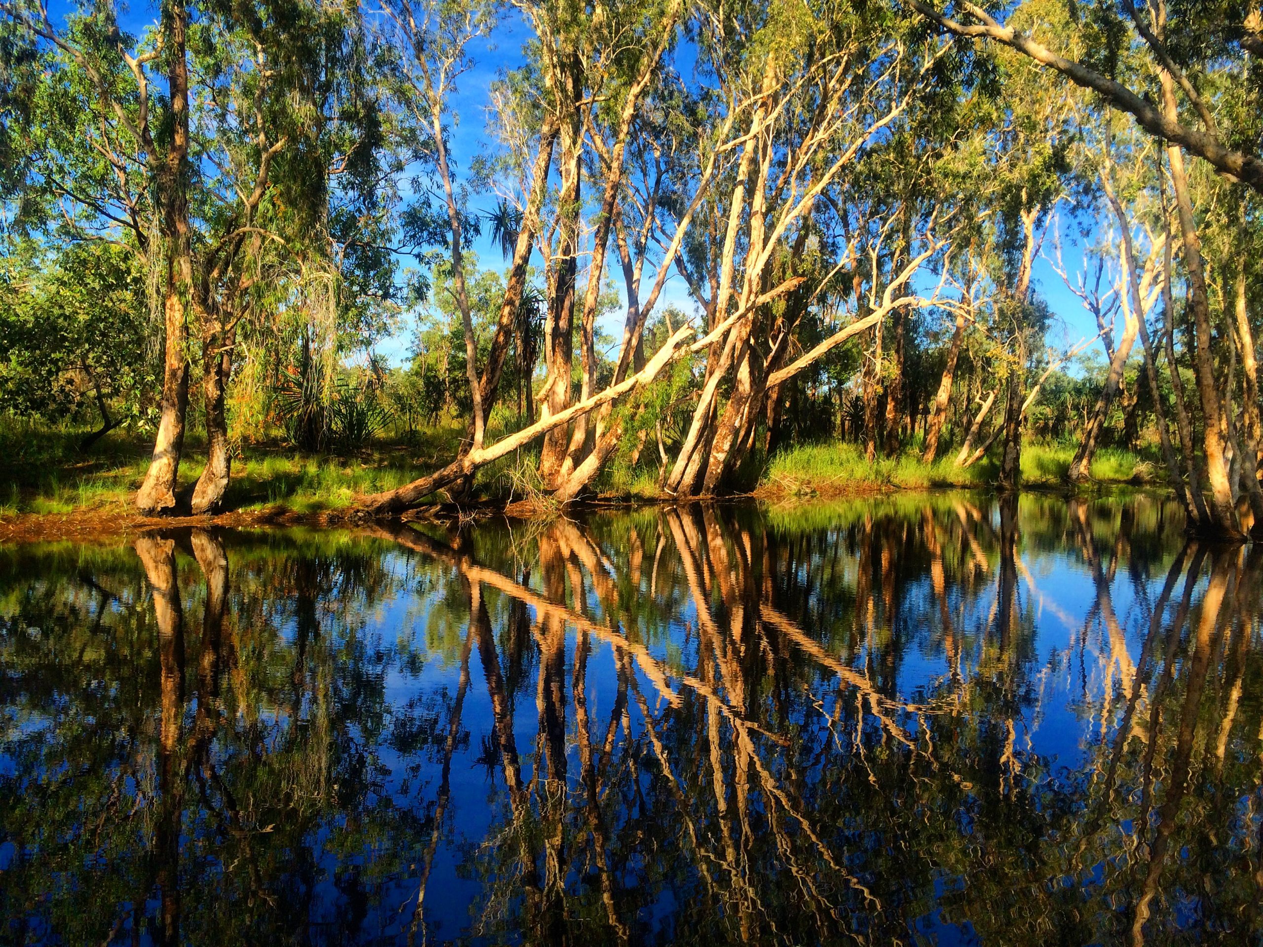 Supreme Court action over Glencore’s McArthur River Mine ...