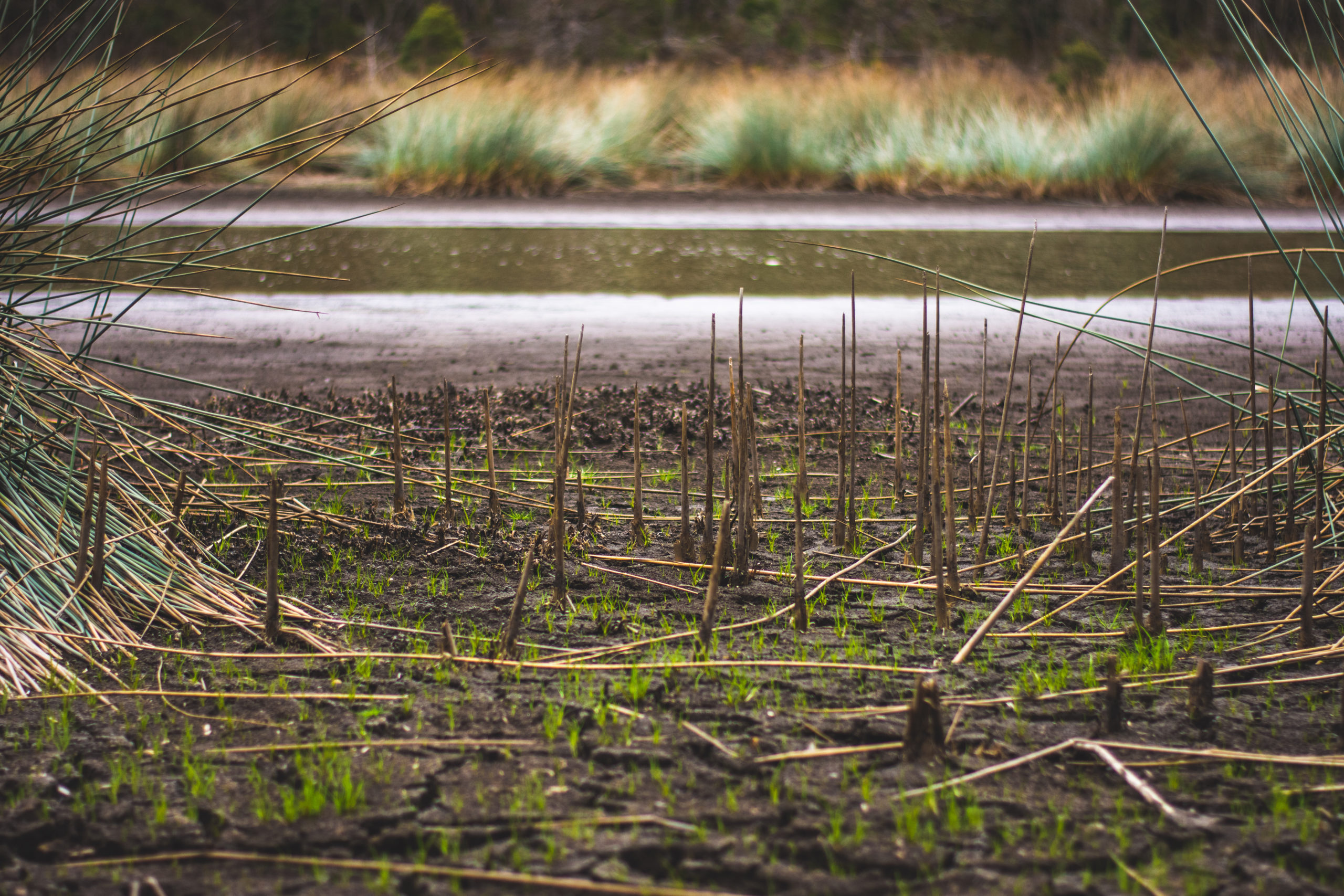 Tahmoor Coal Mine Extension Approved by NSW IPC - Environmental ...