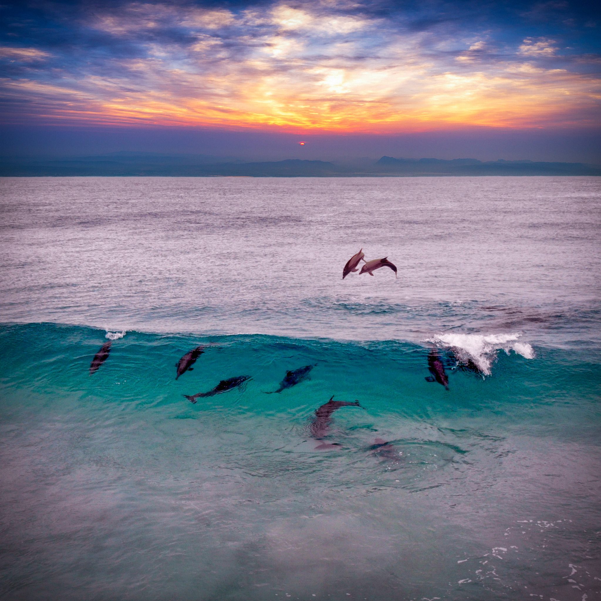 The EPBC Act, Referrals and Opportunities to Comment - Environmental ...