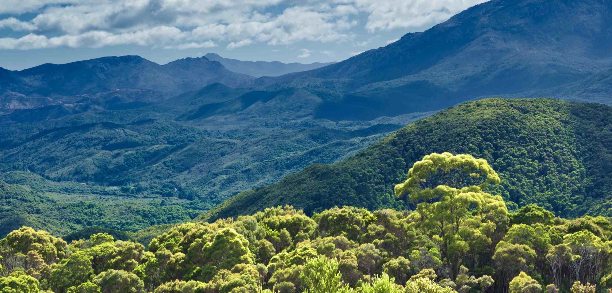 Briefing Note: How to have your say on the Human Rights Act 2019 (Qld ...