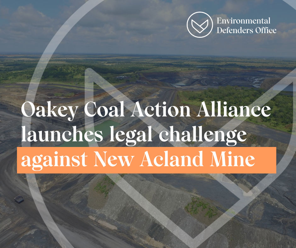 Oakey Coal Action Alliance launches legal challenge against New Acland ...