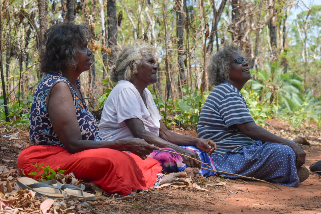 First Nations Rights in the Queensland Human Rights Act - Environmental ...